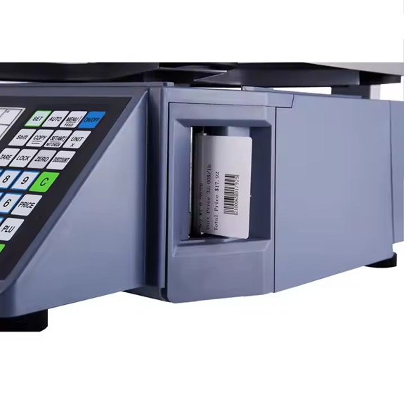 ABANA Store.ACLAS SCALE LS2M-30KG